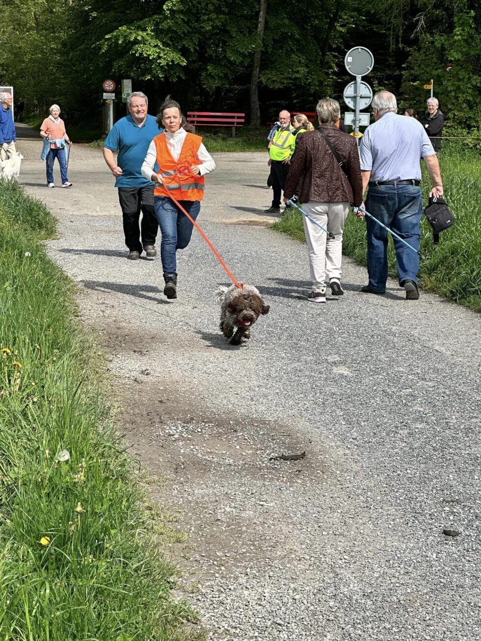 Mantrailing-schweiz - Mantrailing-Schweiz in Horgen am Zürichsee